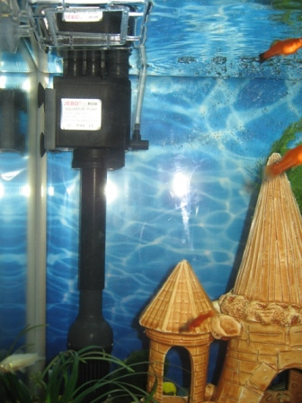 Проблемы с аквариумом Jebo r338 - Аквариум - Форум Tropica.RU