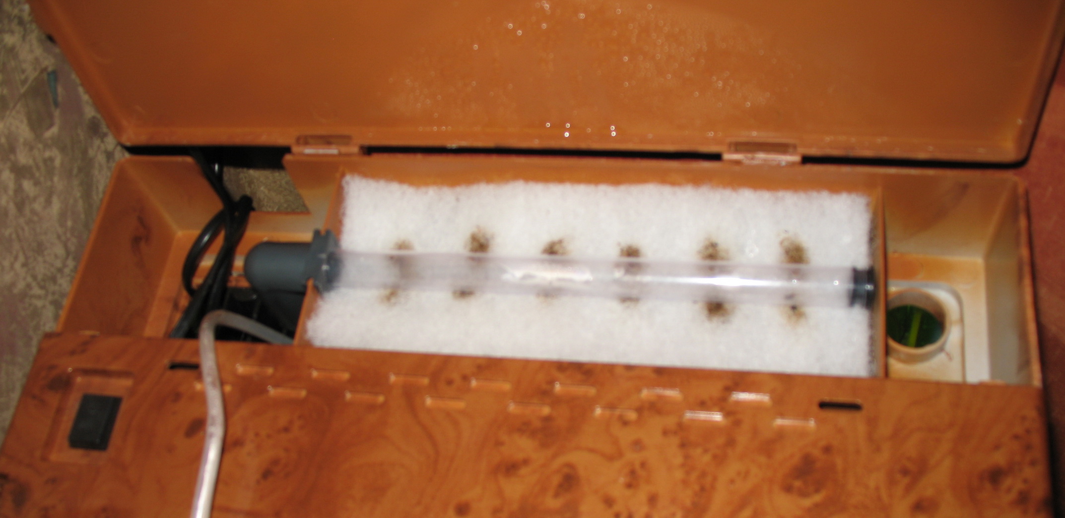 Jebo R338 для "чайника" - Аквариум для новичков - Форум Tropica.RU